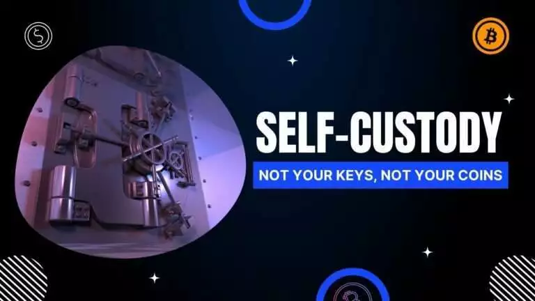 Self-Custody Explained - "Not Your Keys, Not Your Coins" - MonkWealth